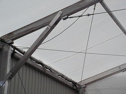 Bracon